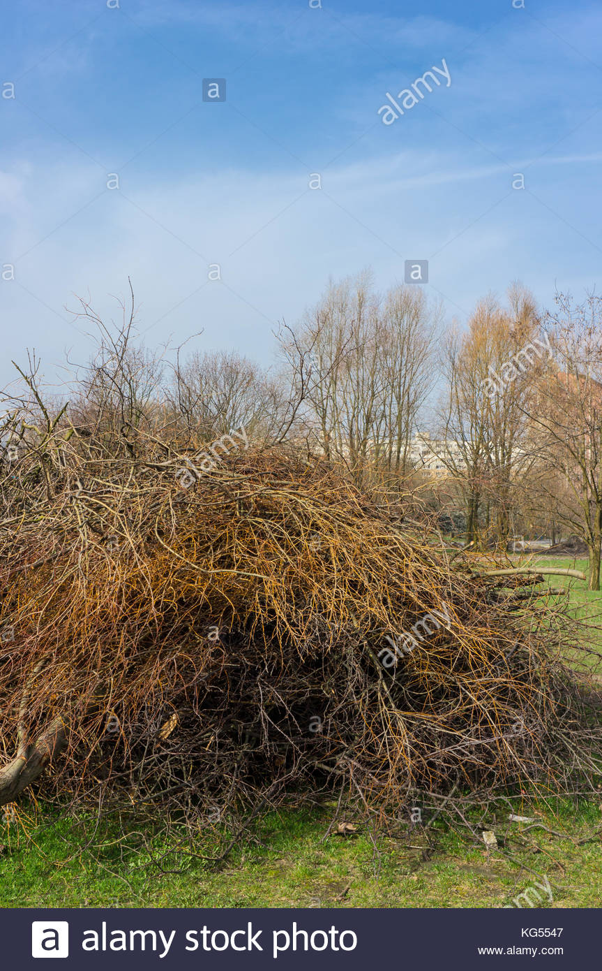 Pile Of Twigs Stock Photos & Pile Of Twigs Stock Images - Alamy