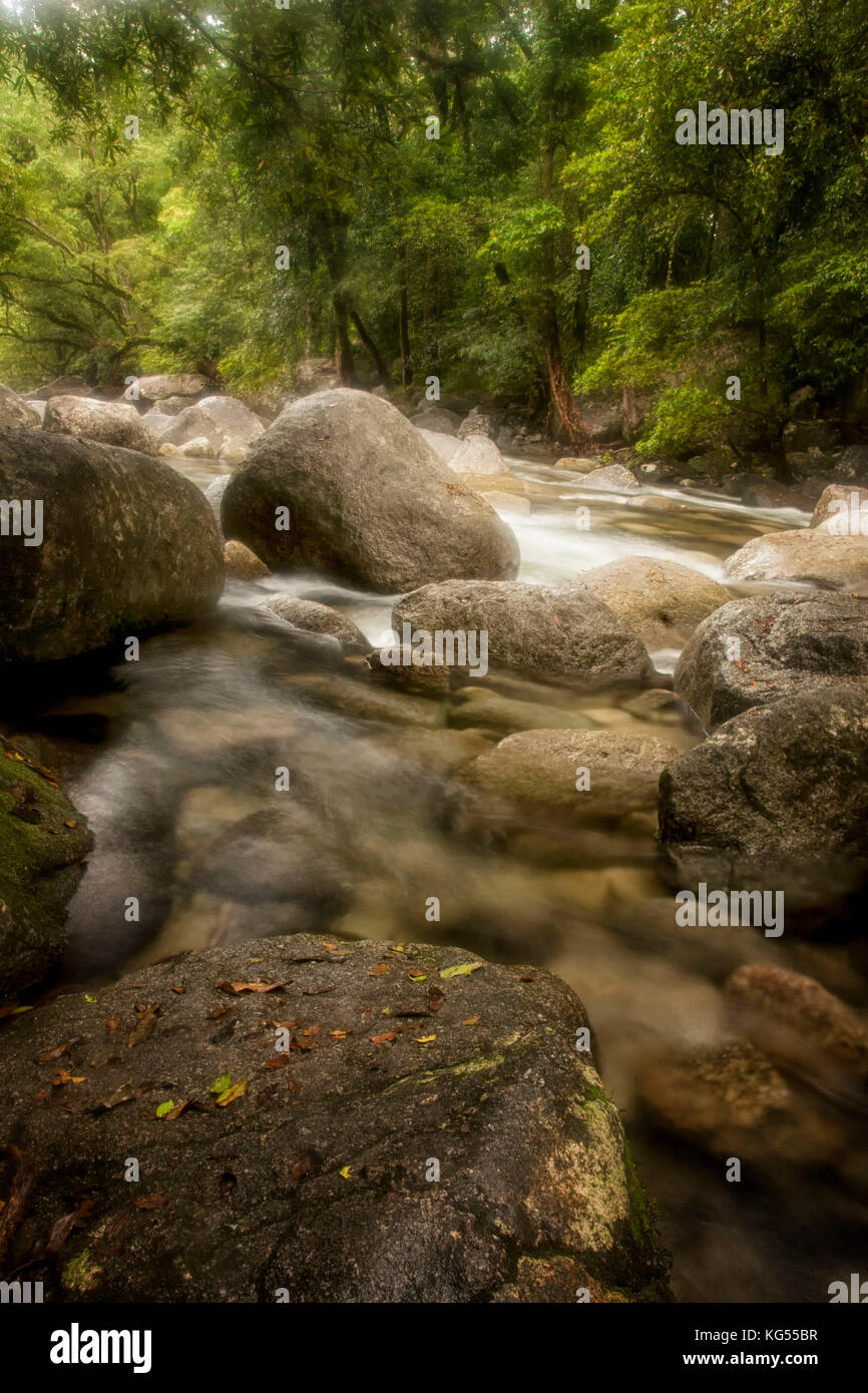 Boulders in rainforest stream, Mossman Gorge, Northern Territory ...
