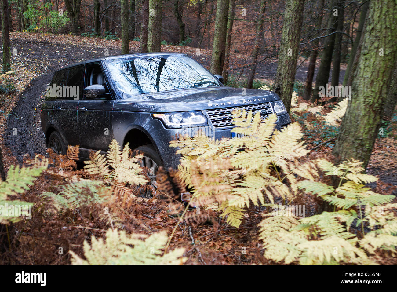 Full Size Range Rover Off Roading Stock Photo - Alamy