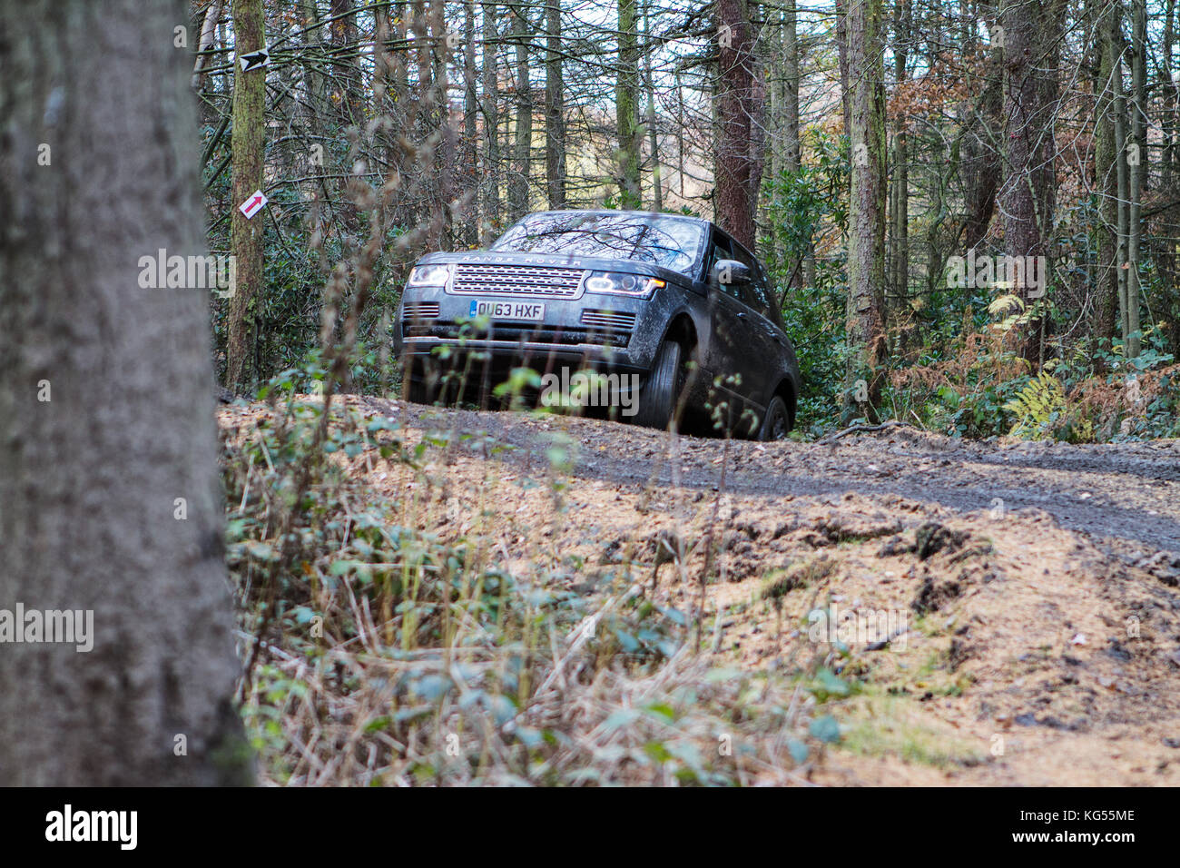 Full Size Range Rover Off Roading Stock Photo - Alamy