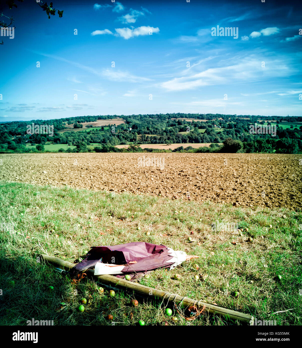 fallen eagle scarecrow in farmland, Kent, England Stock Photo - Alamy