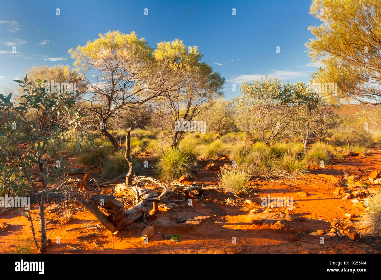 Outback autumn landscape, Australia Stock Photo - Alamy