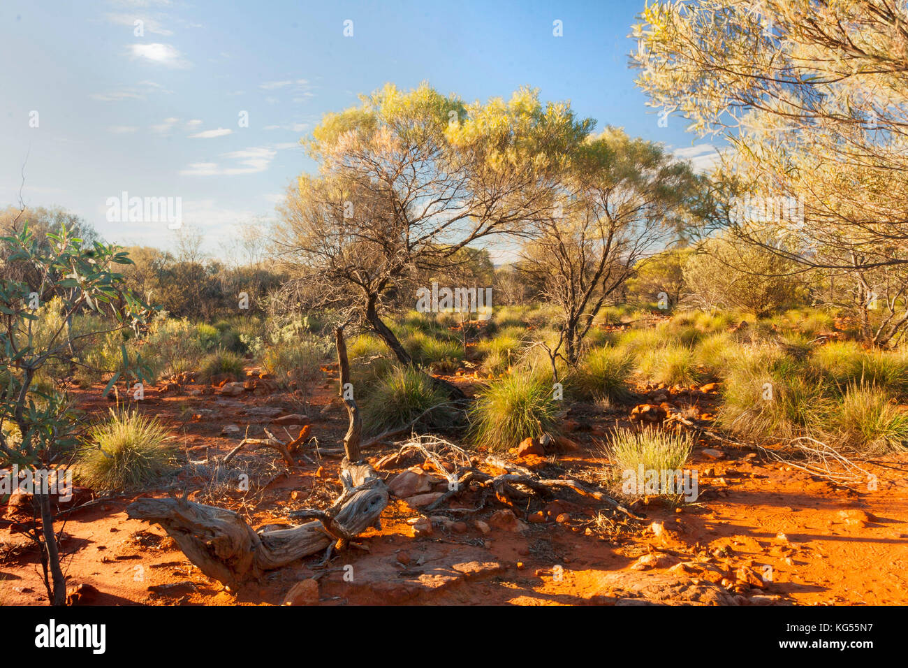 Outback autumn landscape, Australia Stock Photo - Alamy