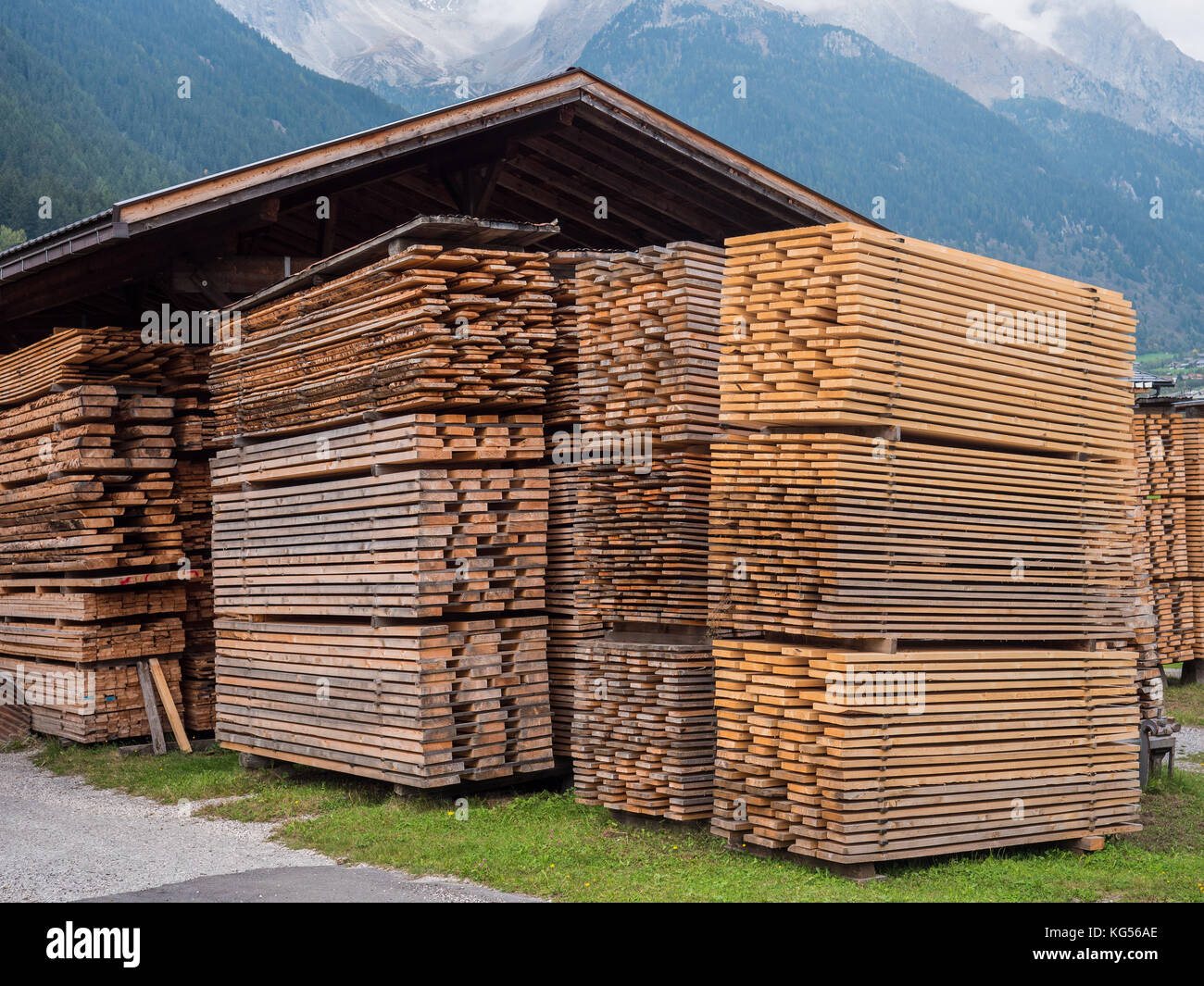 Sawmill environment hi-res stock photography and images - Alamy