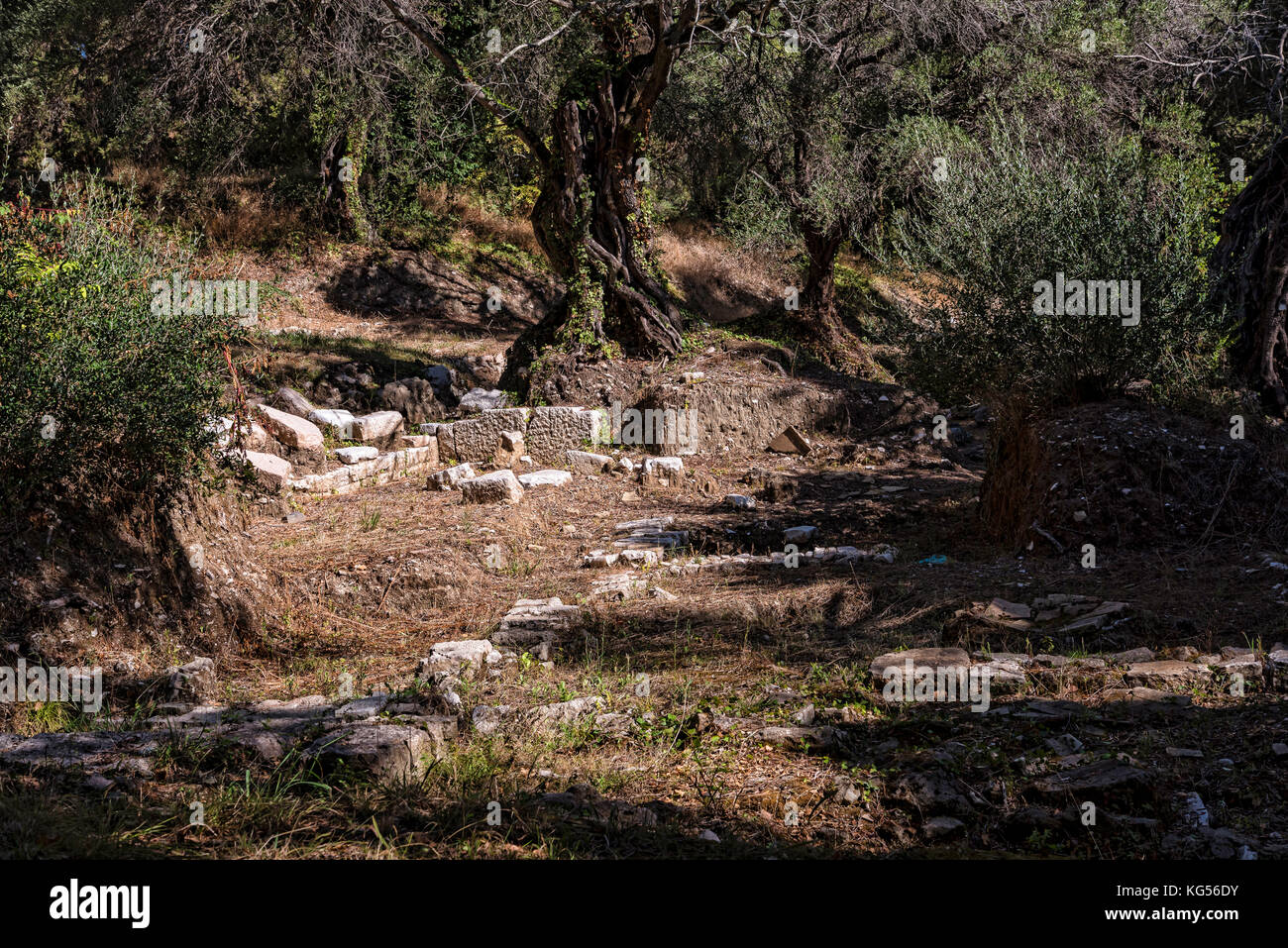 Outbuildings and Ruins of Greek temples in the Garden of the Mon Repose ...