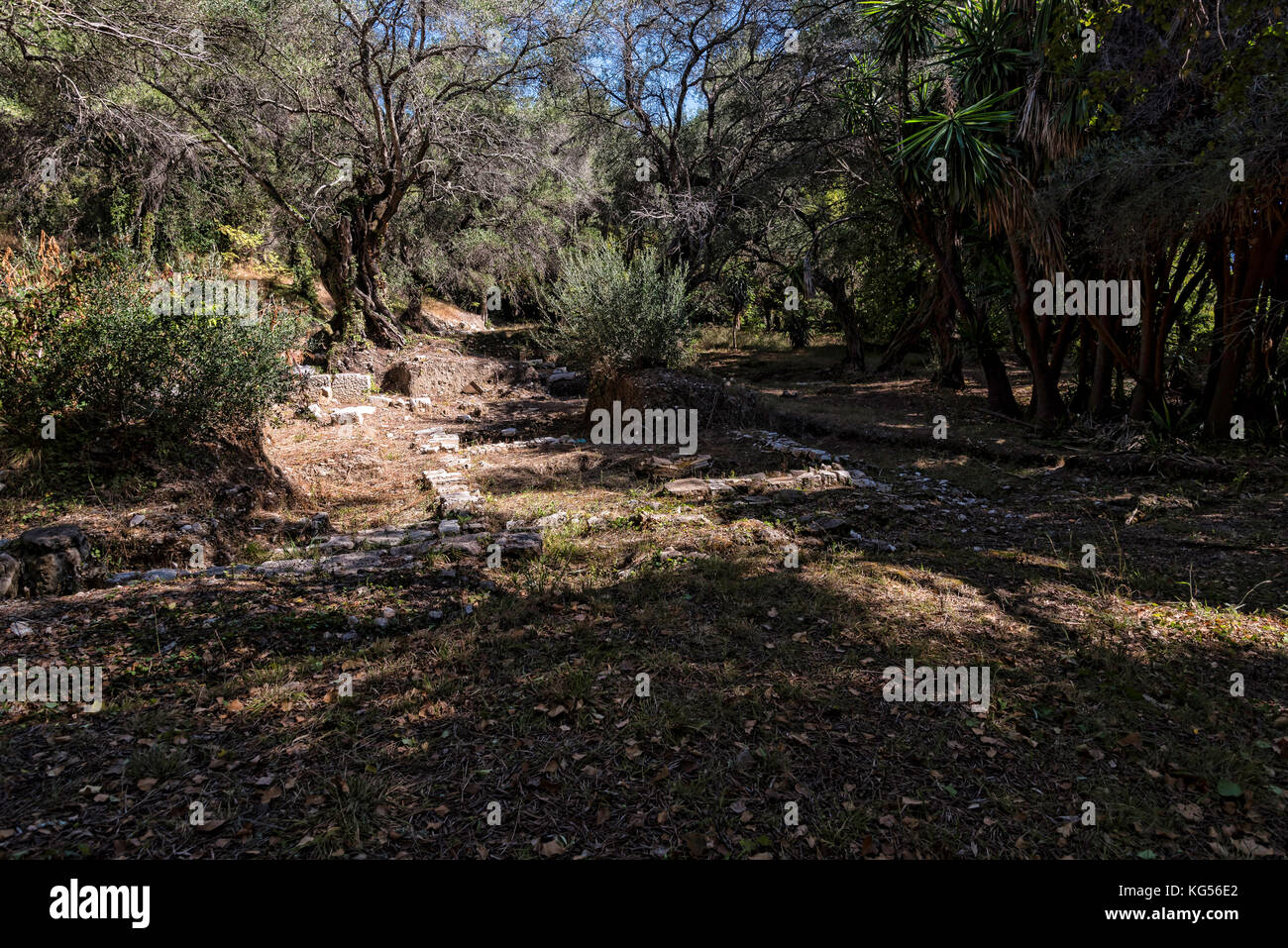 Outbuildings and Ruins of Greek temples in the Garden of the Mon Repose ...