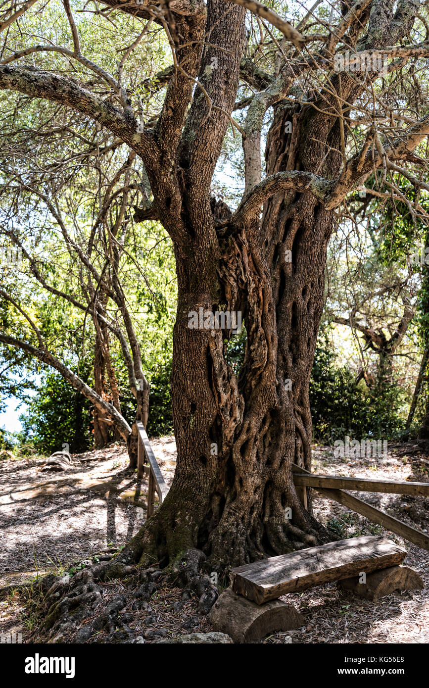 Mon Repos palace was built in 1924 by High Commissioner Frederick Adam ...