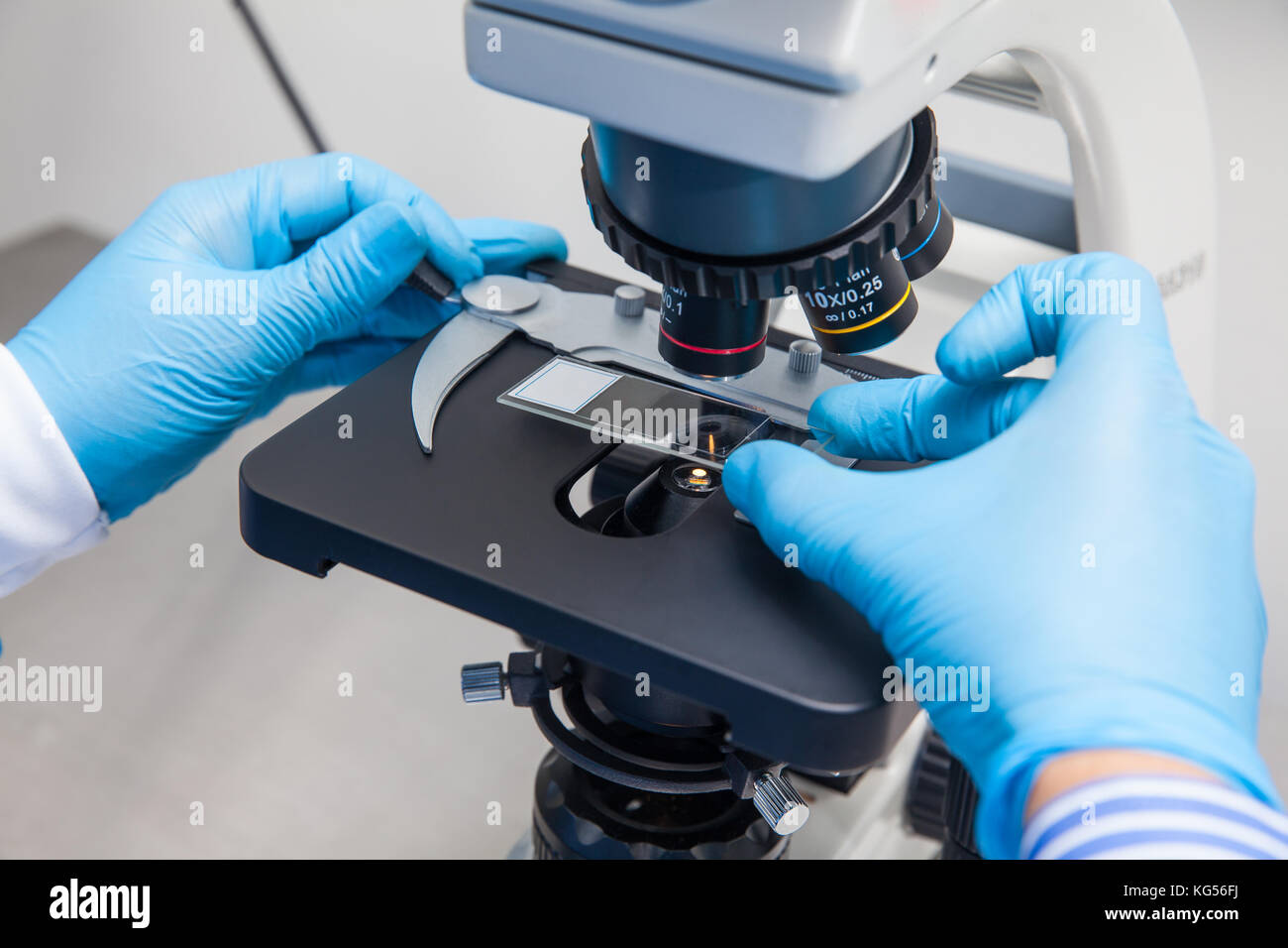 Microscope slide microbiology hand hi-res stock photography and images ...