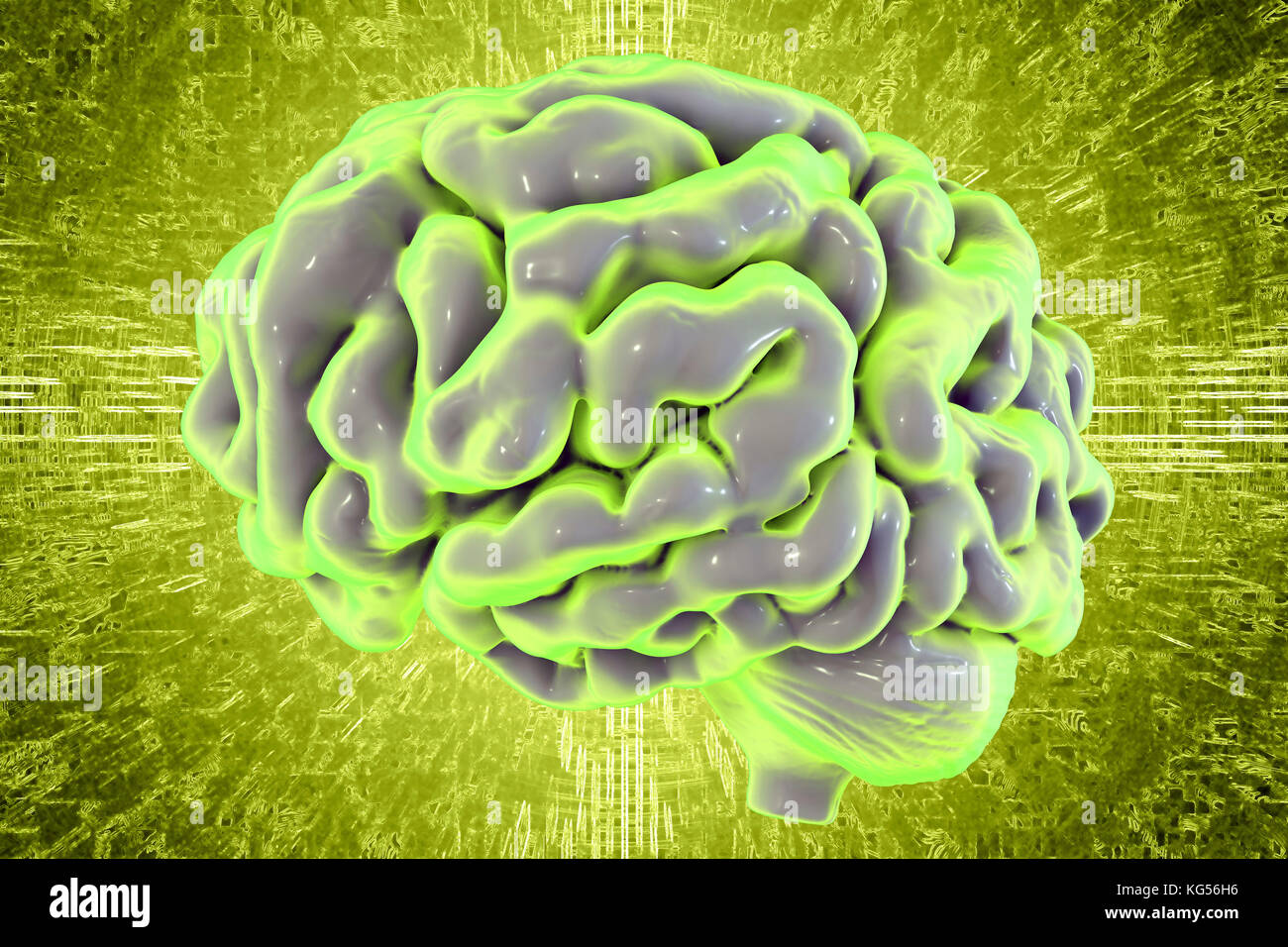 Human brain. Conceptual illustration showing brain activity during ...