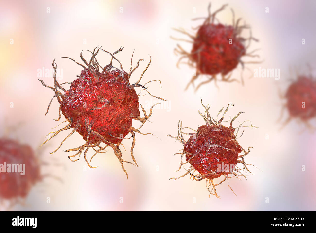 Dendritic cells, computer illustration. Dendritic cells, a type of ...