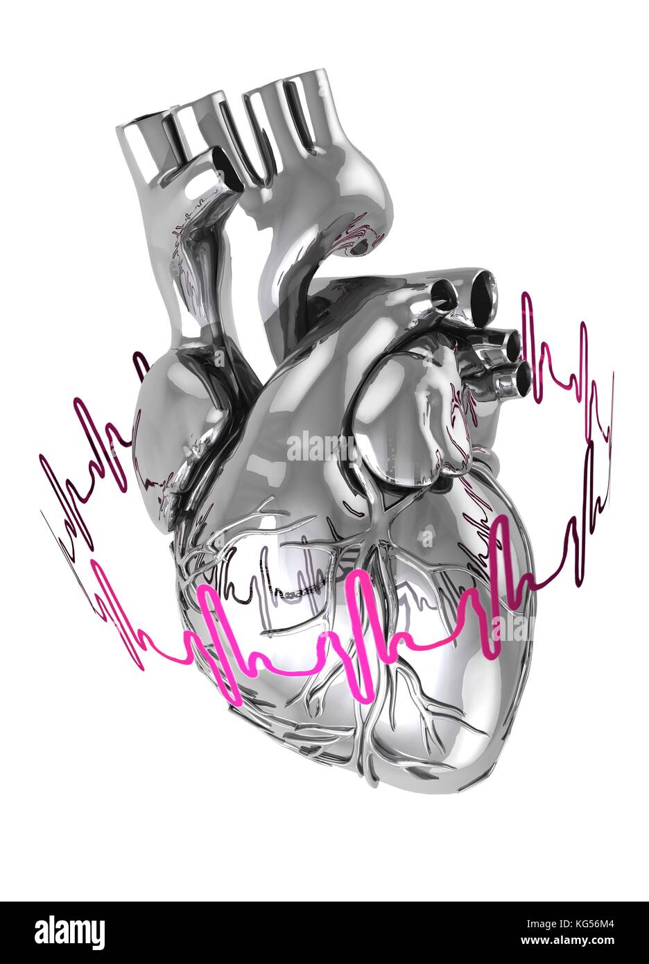 Human heart Cut Out Stock Images & Pictures - Alamy