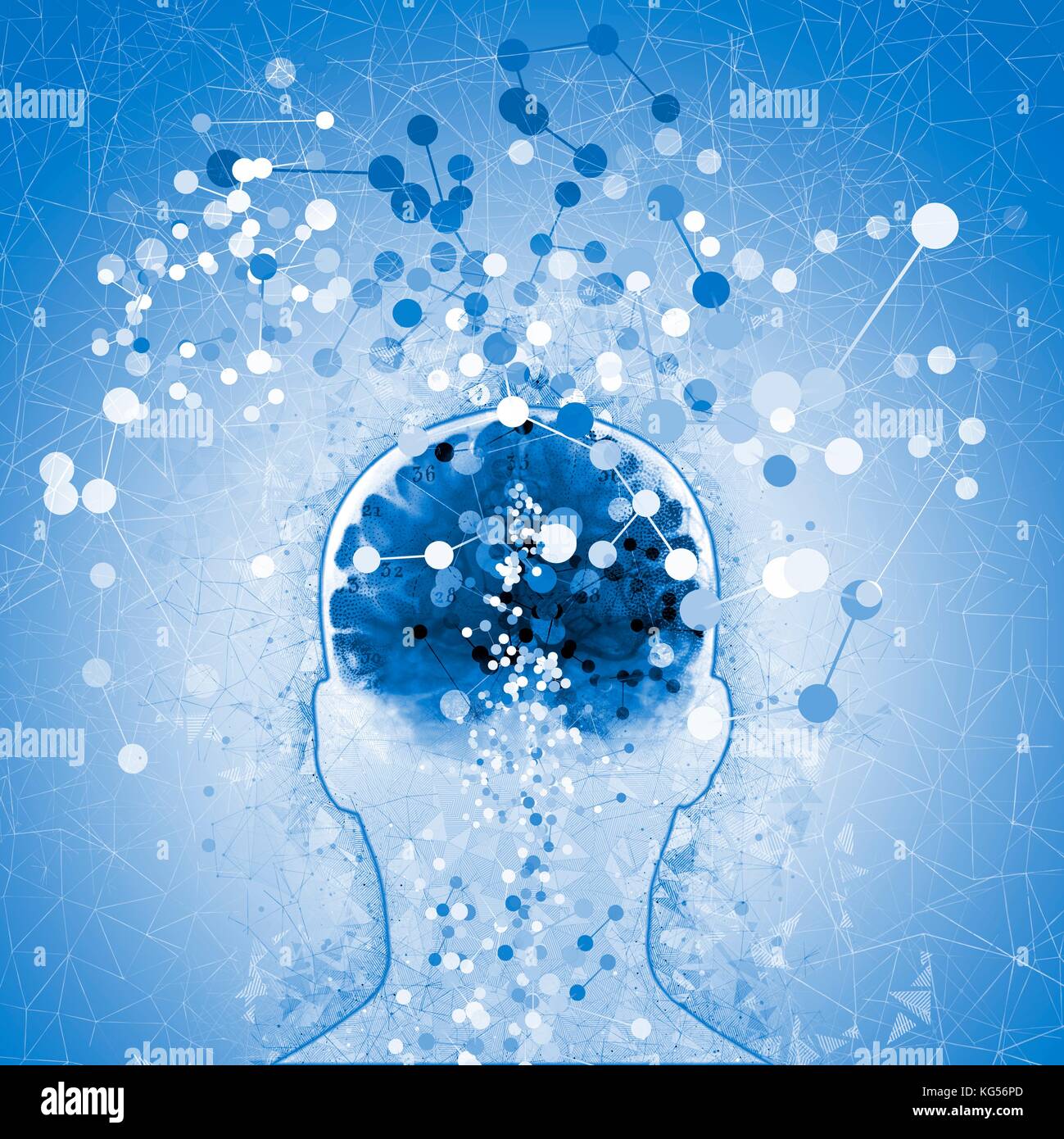 Human head with connecting lines and dots, illustration Stock Photo - Alamy