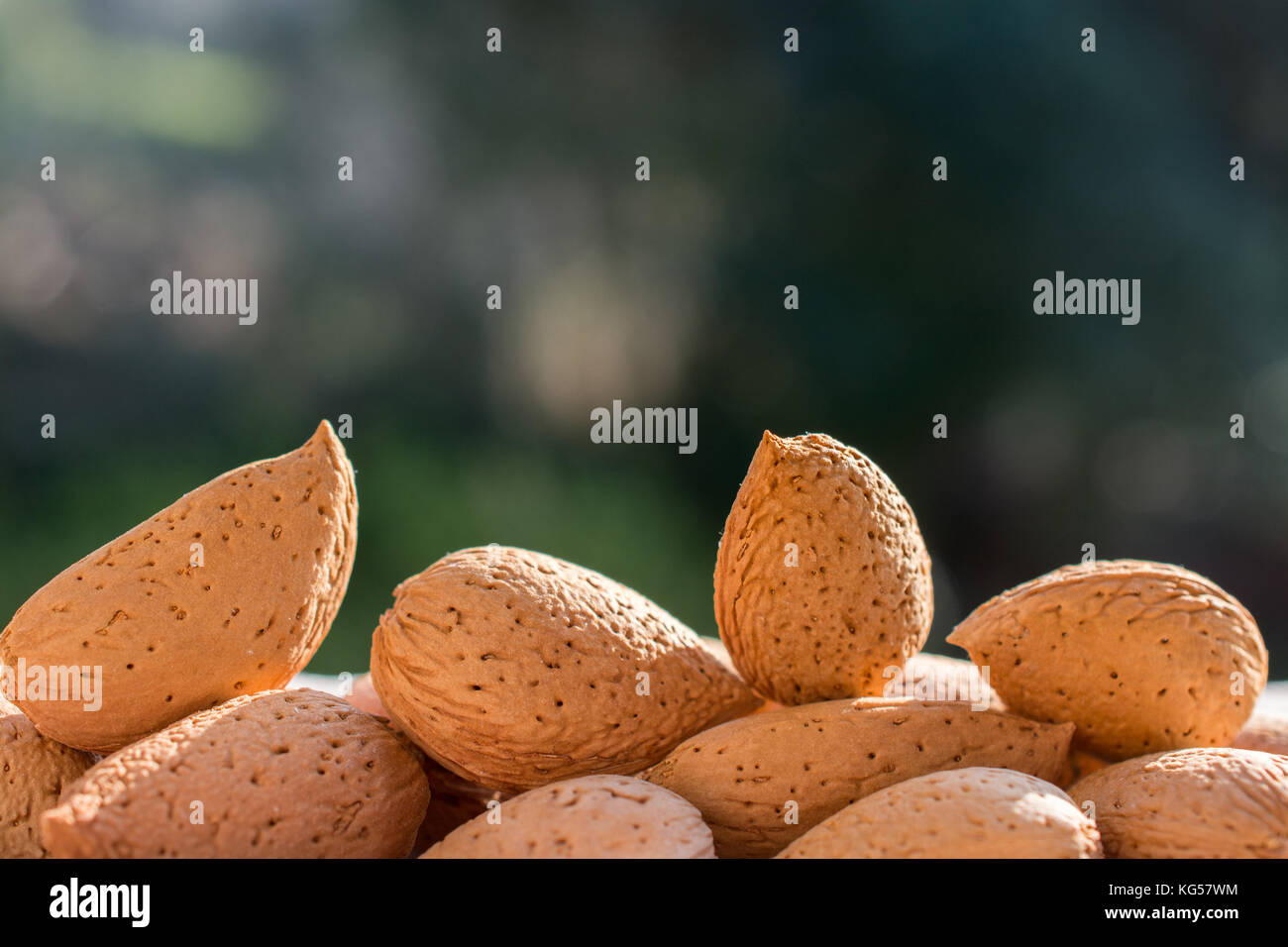 Group of raw almonds, with skin and rind, copy space. Main ingredient ...