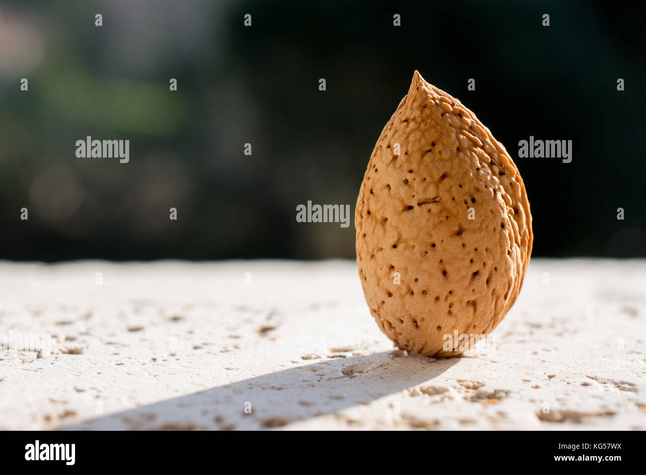 raw almond, with skin and rind, copy space. Main ingredient for nougat ...
