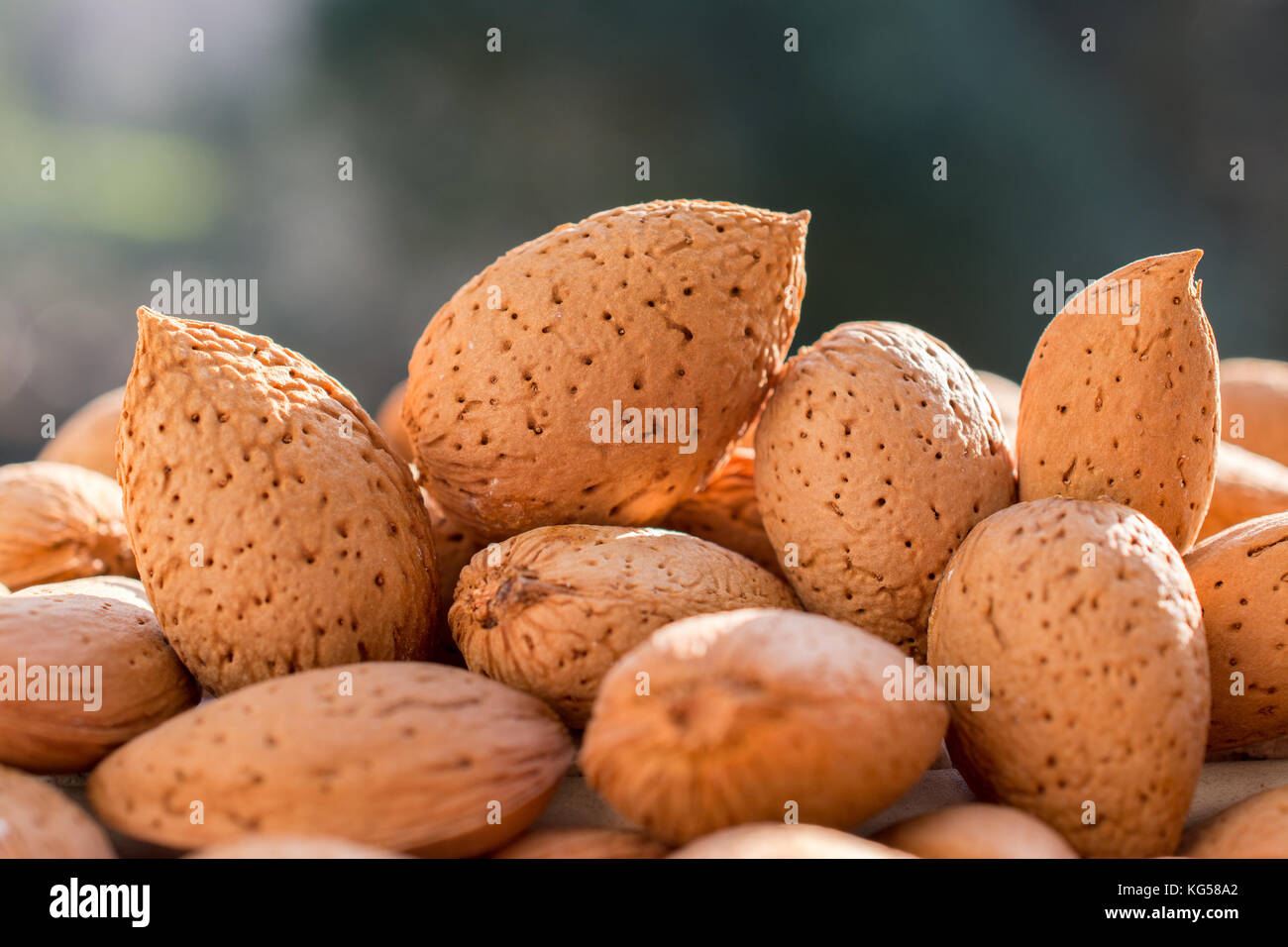 Group of raw almonds, with skin and rind, copy space. Main ingredient ...