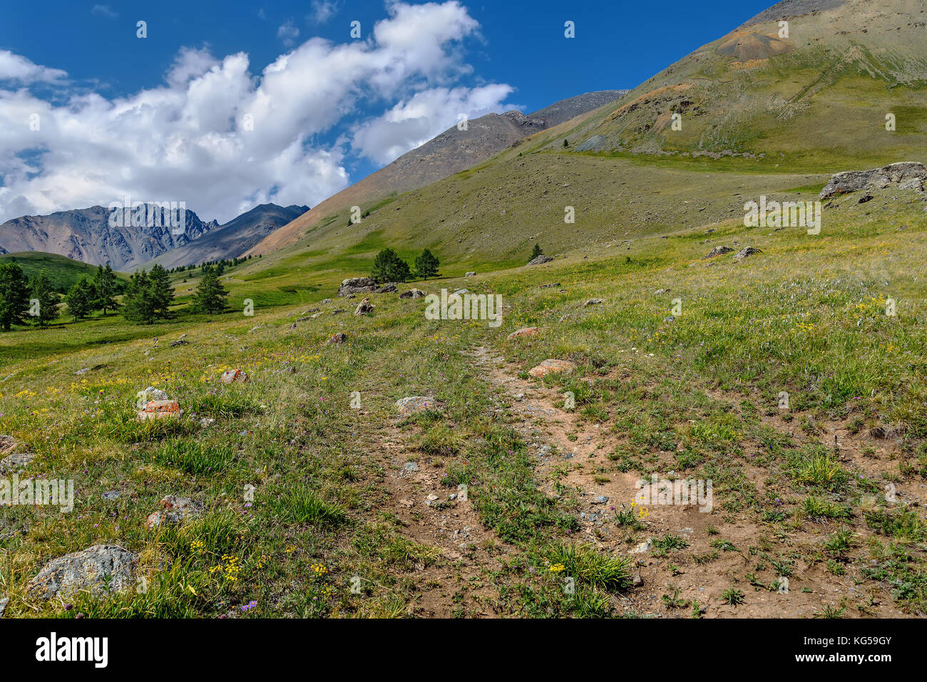 Grassland and road hi-res stock photography and images - Alamy