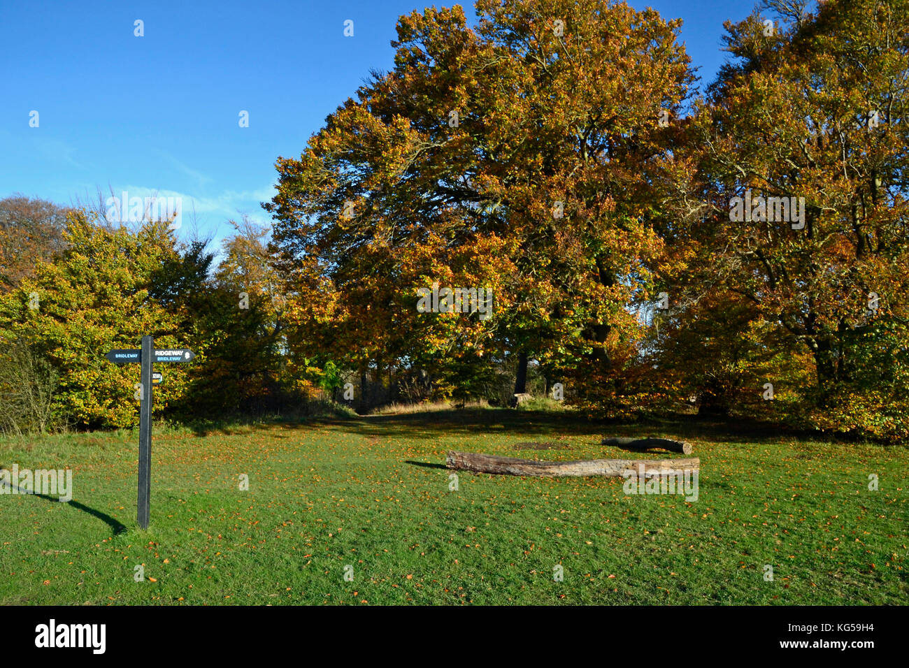 Town of ridgeway hi-res stock photography and images - Alamy