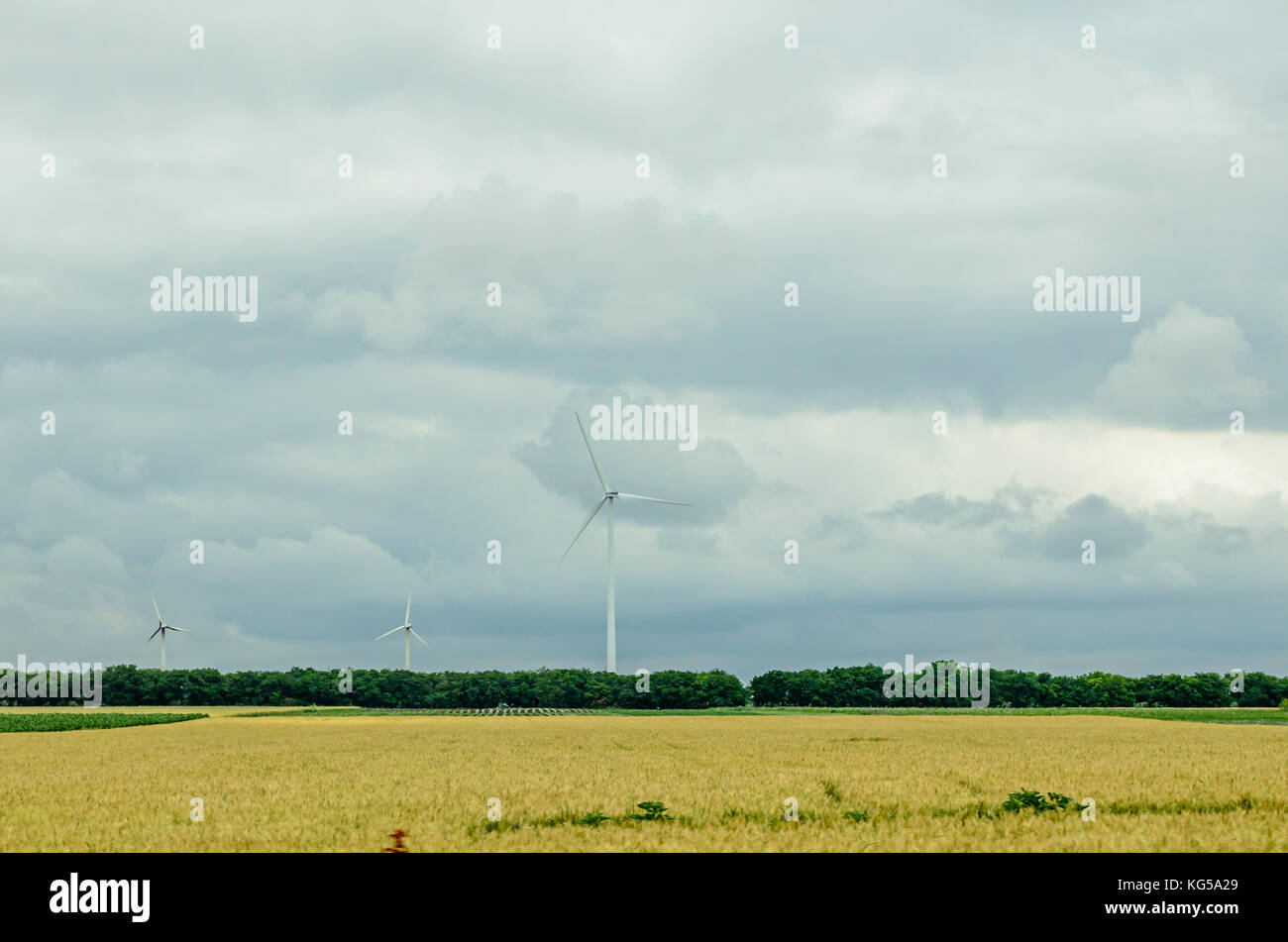 Eolian field and wind turbines farm, near yellow fllowers field, clouds ...