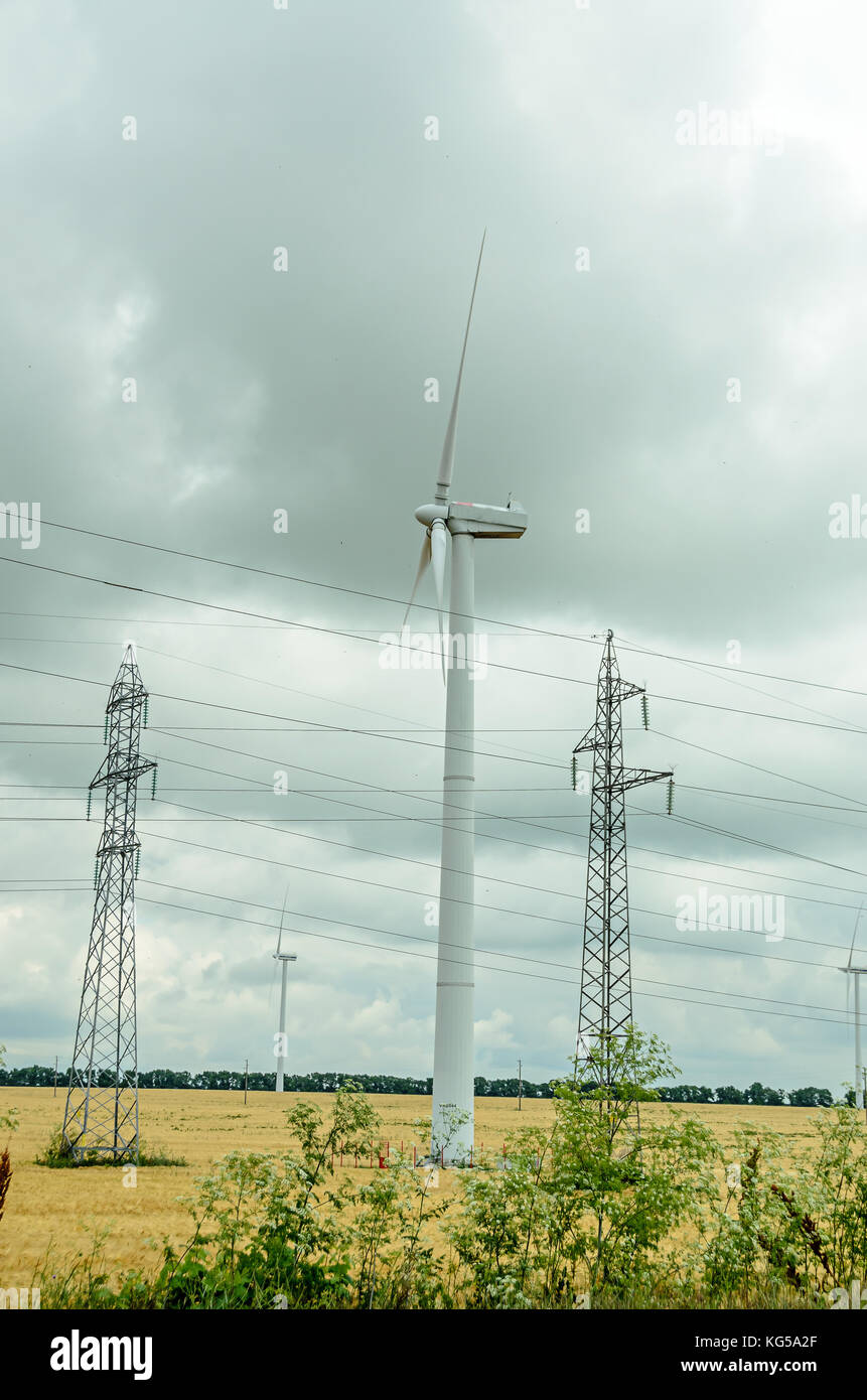 Eolian field and wind turbines farm, near yellow fllowers field, clouds ...