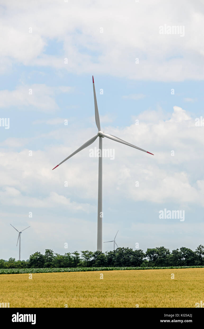 Eolian field and wind turbines farm, near yellow fllowers field, clouds ...