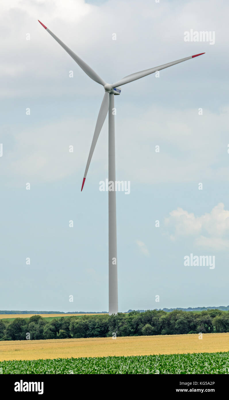 Eolian field and wind turbines farm, near yellow fllowers field, clouds ...