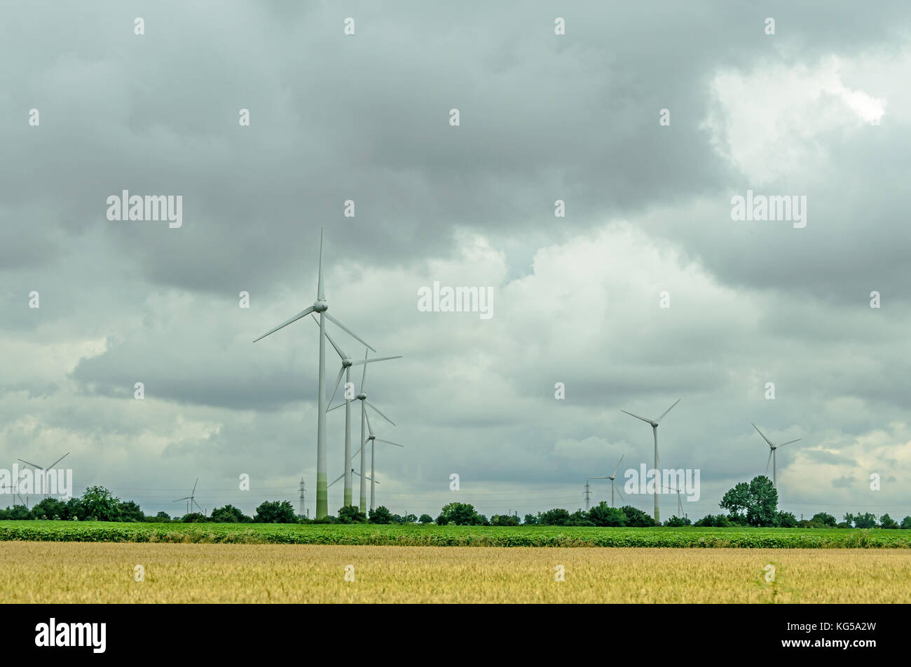 Eolian field and wind turbines farm, near yellow fllowers field, clouds ...