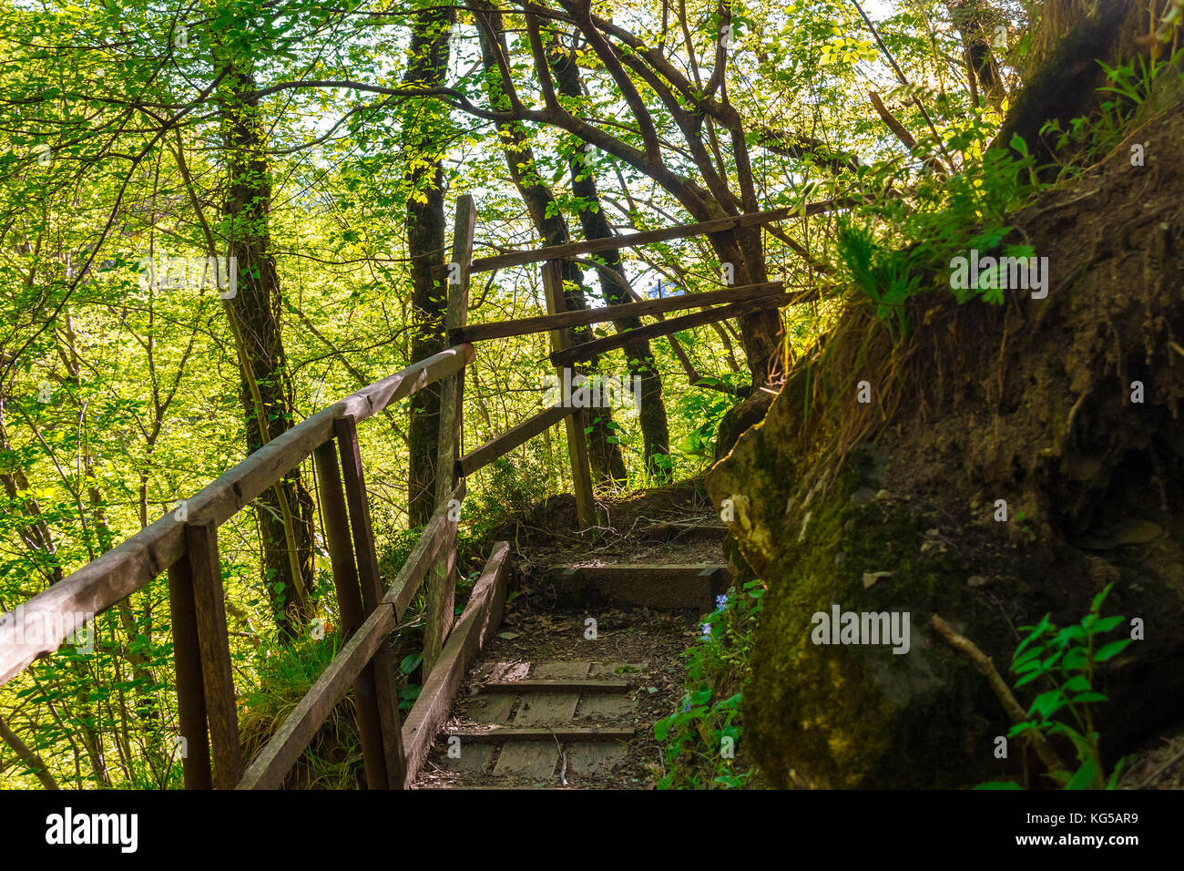 Thicket fence hi-res stock photography and images - Alamy