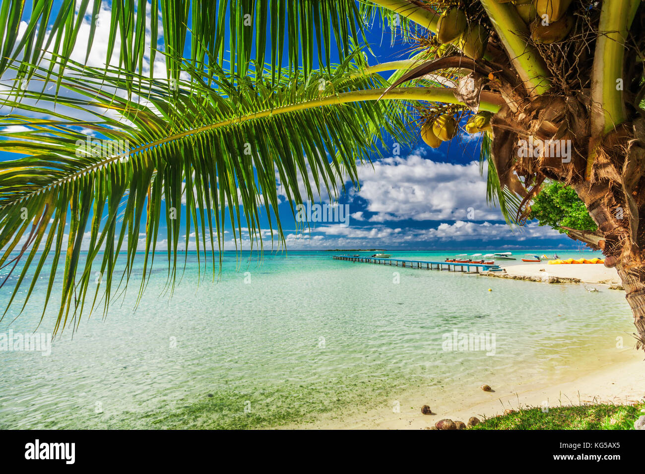 Beach with palm trees on the north side of tropical Moorea island ...