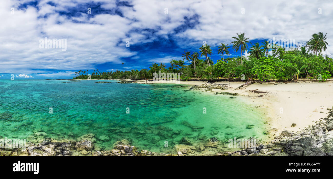 Tropical beach on south side of Upolu, Samoa Island with many palm ...