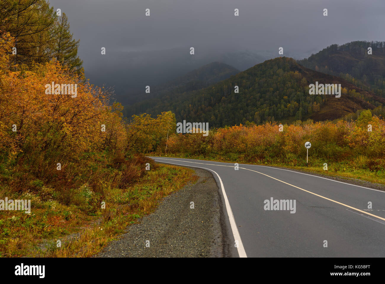 A picturesque autumn view of a steep turn of a wet asphalt road ...