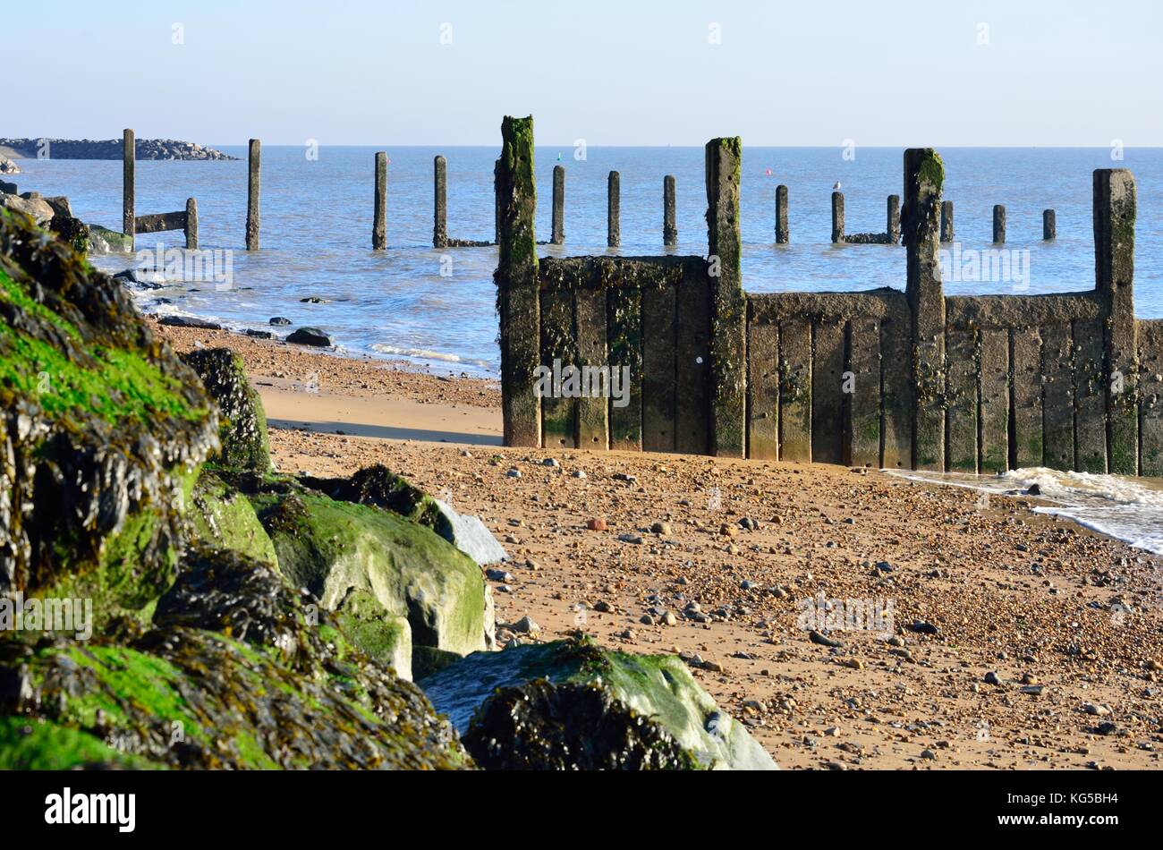 Wooden groyne on Essex Coast Stock Photo - Alamy
