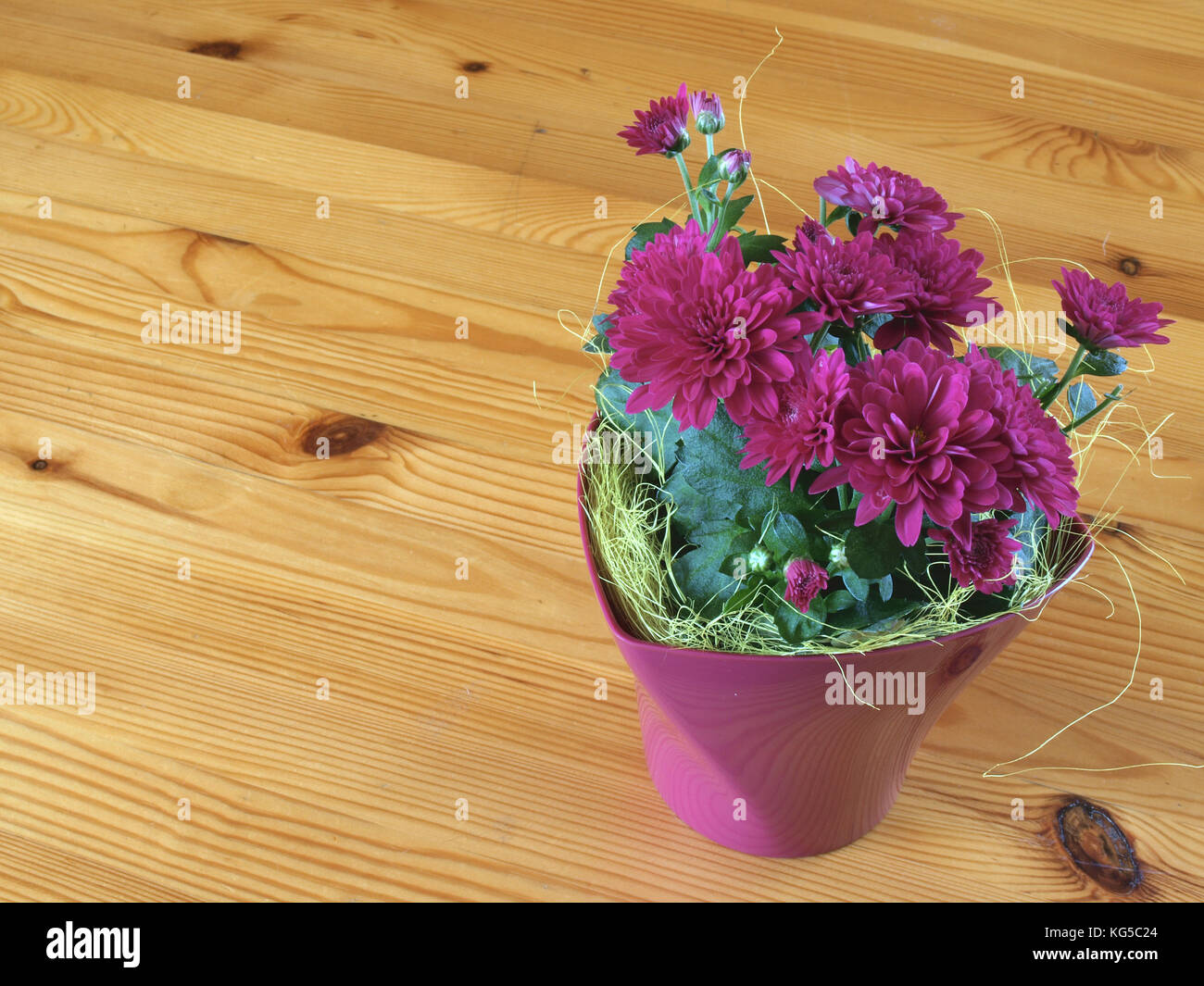 Dark purple color flower on wooden table Stock Photo - Alamy