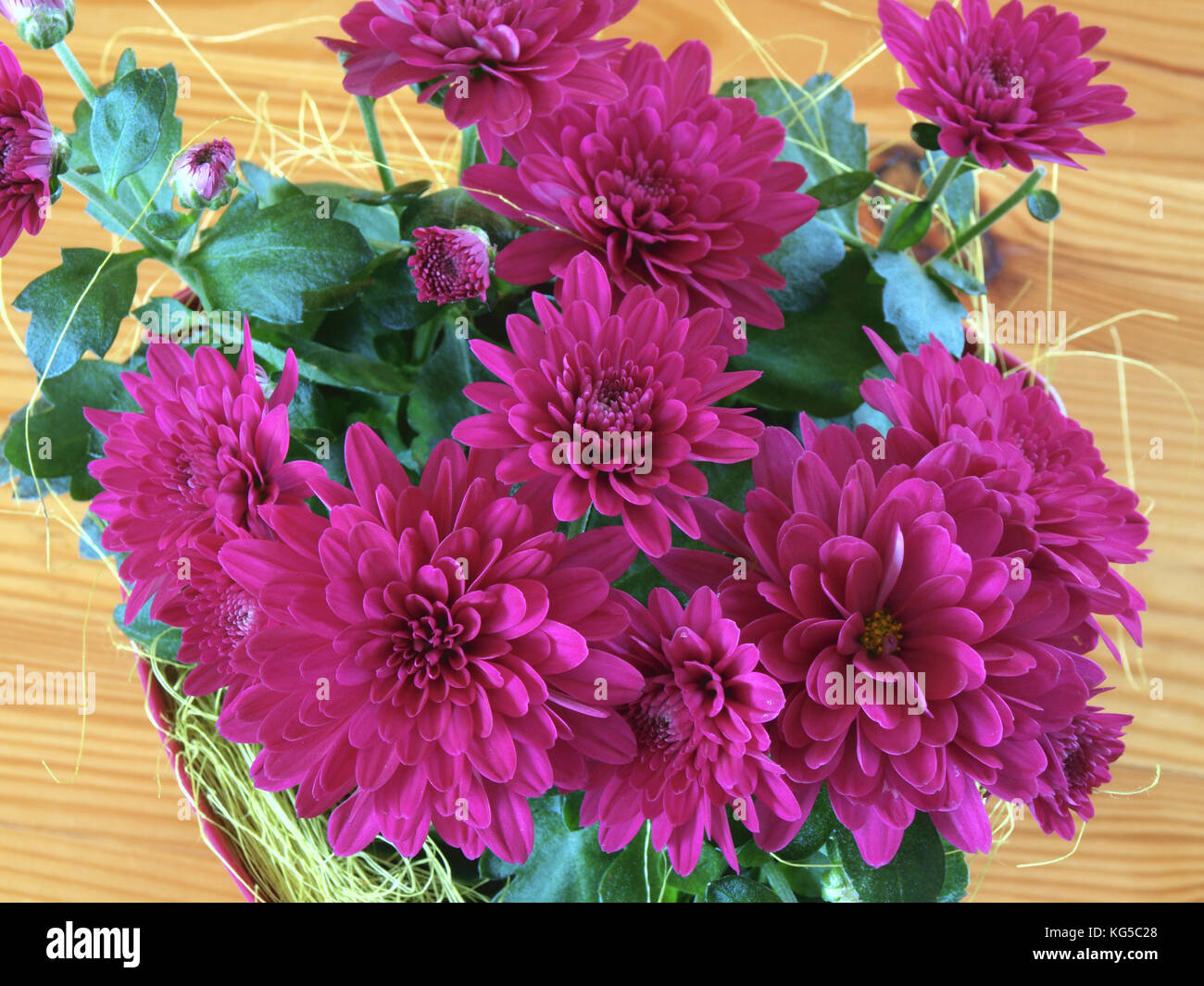 Dark purple color flower on wooden table Stock Photo - Alamy