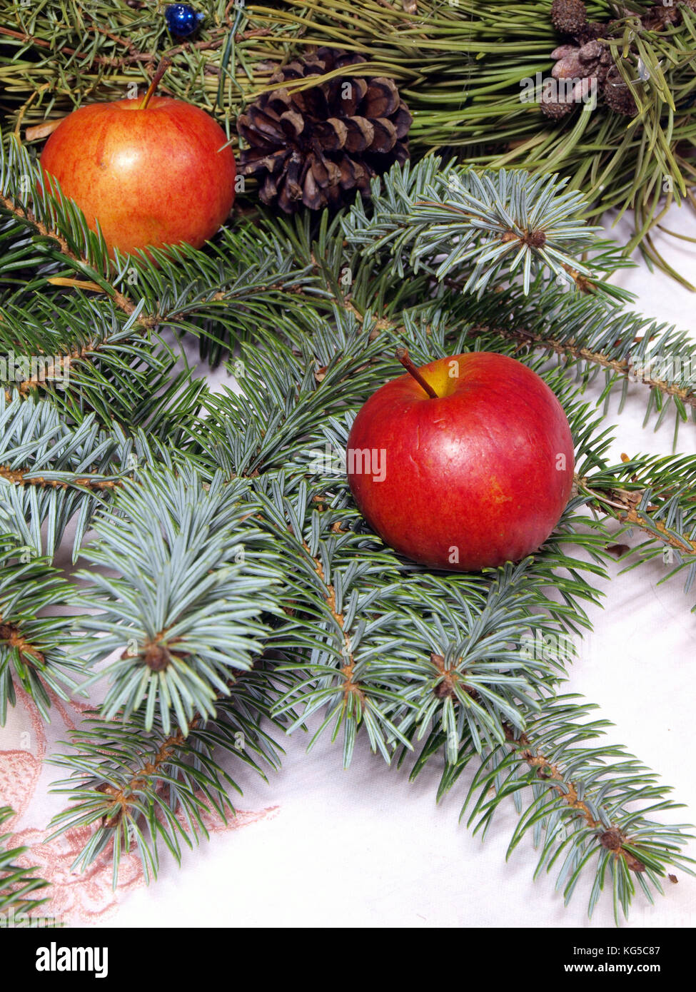 Composition from Christmas tree branches, cones and apples Stock Photo ...
