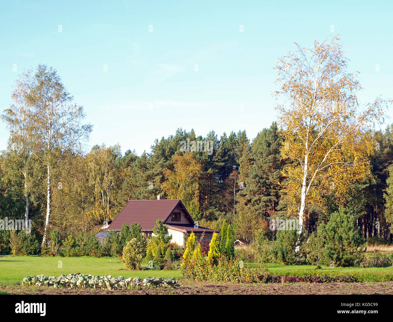 Country landscape with trees in autumn colors Stock Photo - Alamy