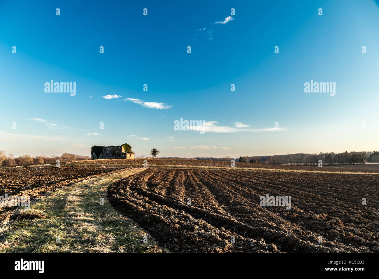 an abandoned and ruined farm in the fields of Italy Stock Photo - Alamy