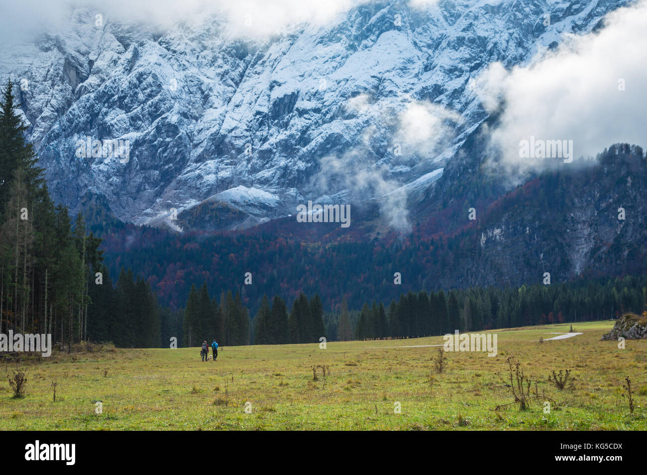 two girls walking in the forest in the italian alps Stock Photo - Alamy
