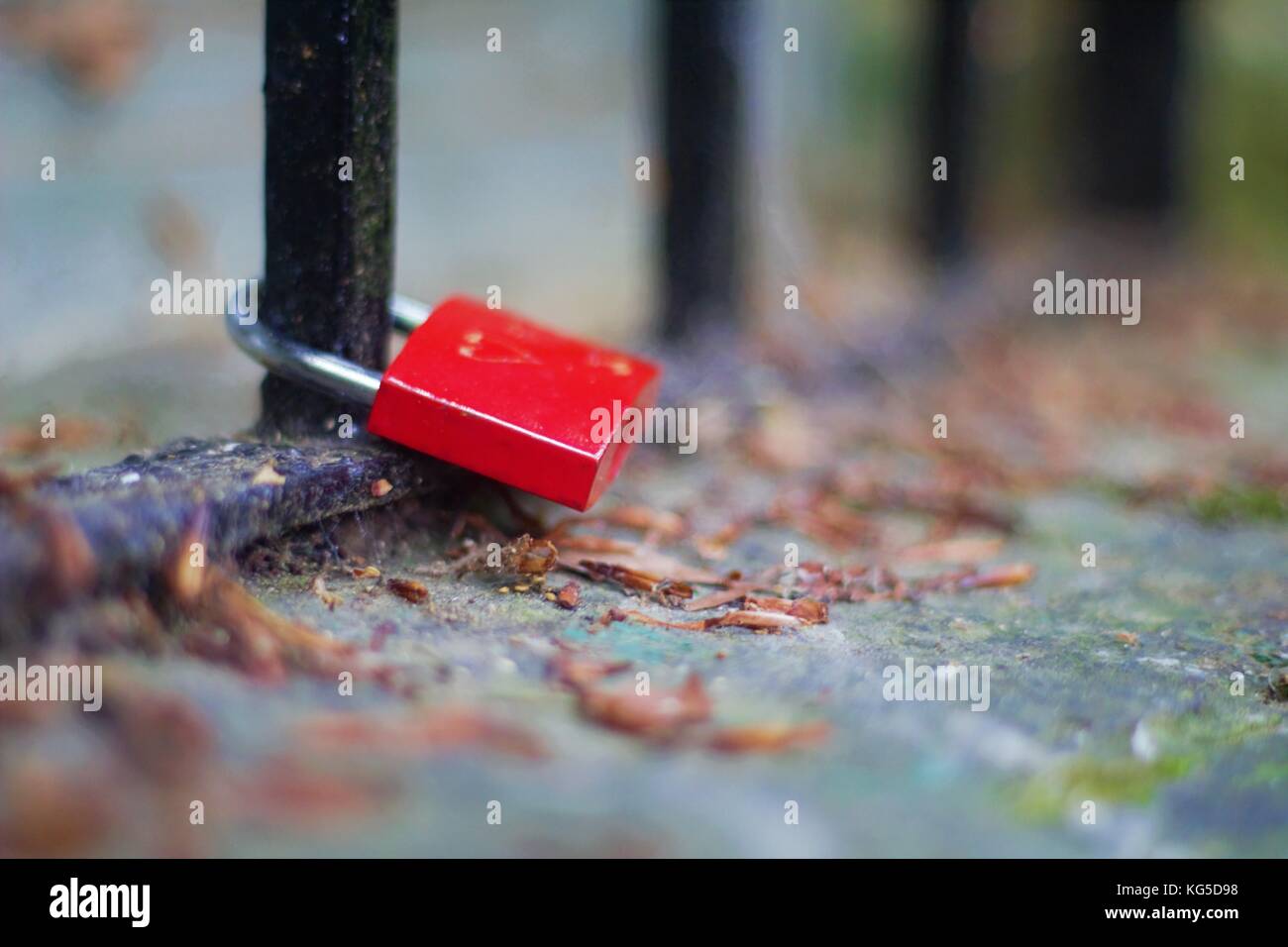 fine art photography Stock Photo - Alamy
