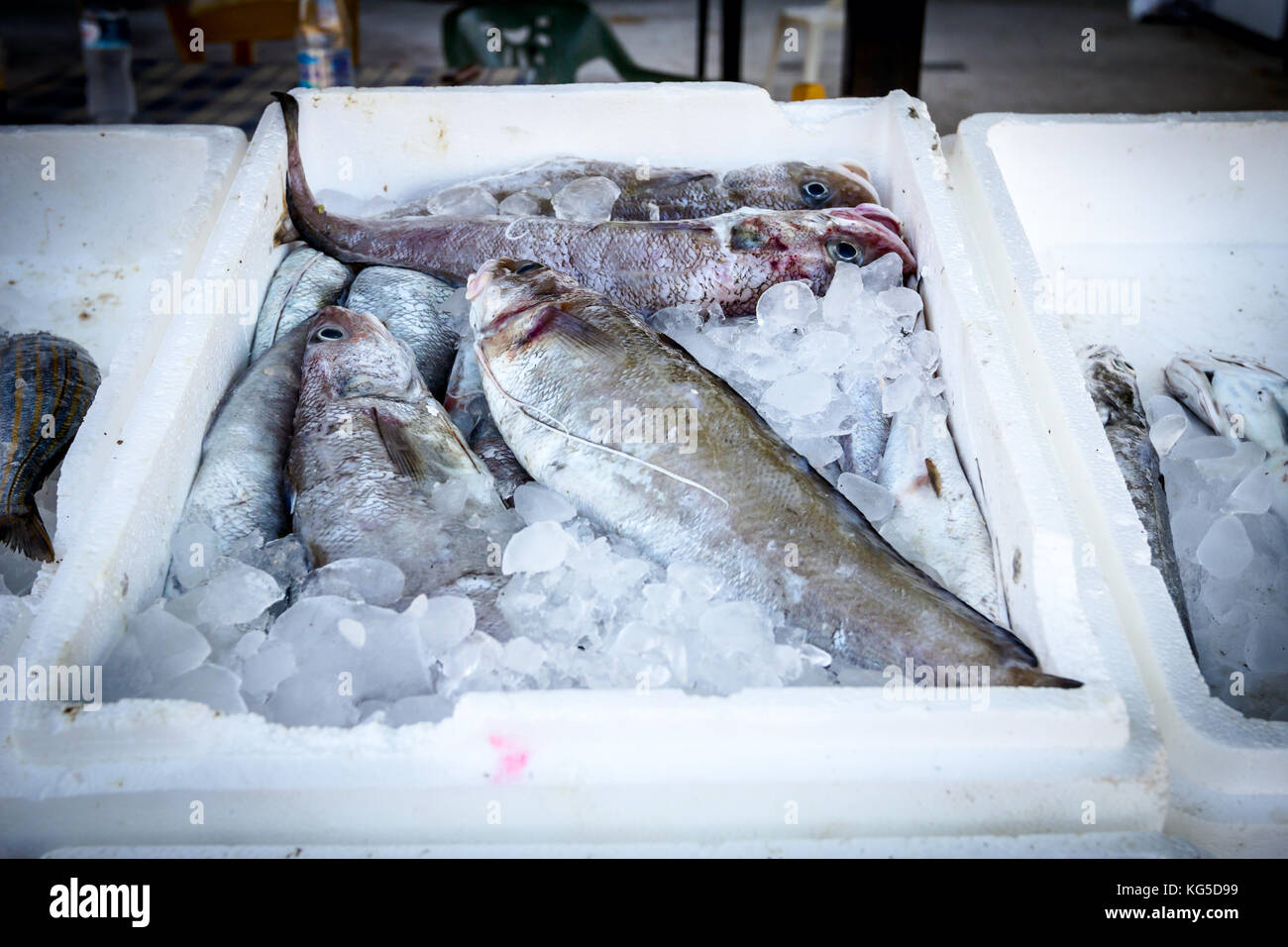 Styrofoam head hi-res stock photography and images - Alamy