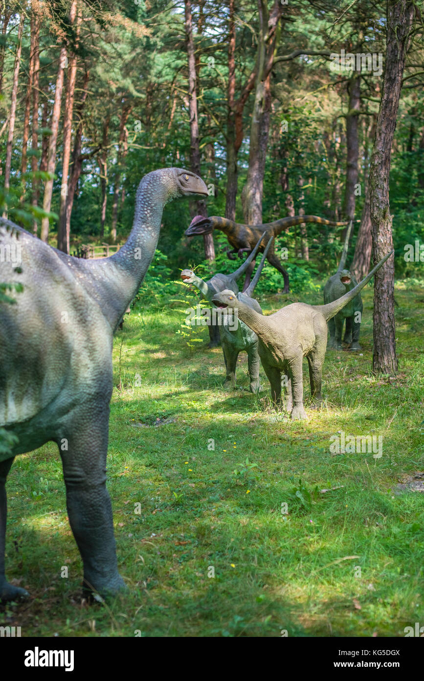 Diplodocus head hi-res stock photography and images - Alamy