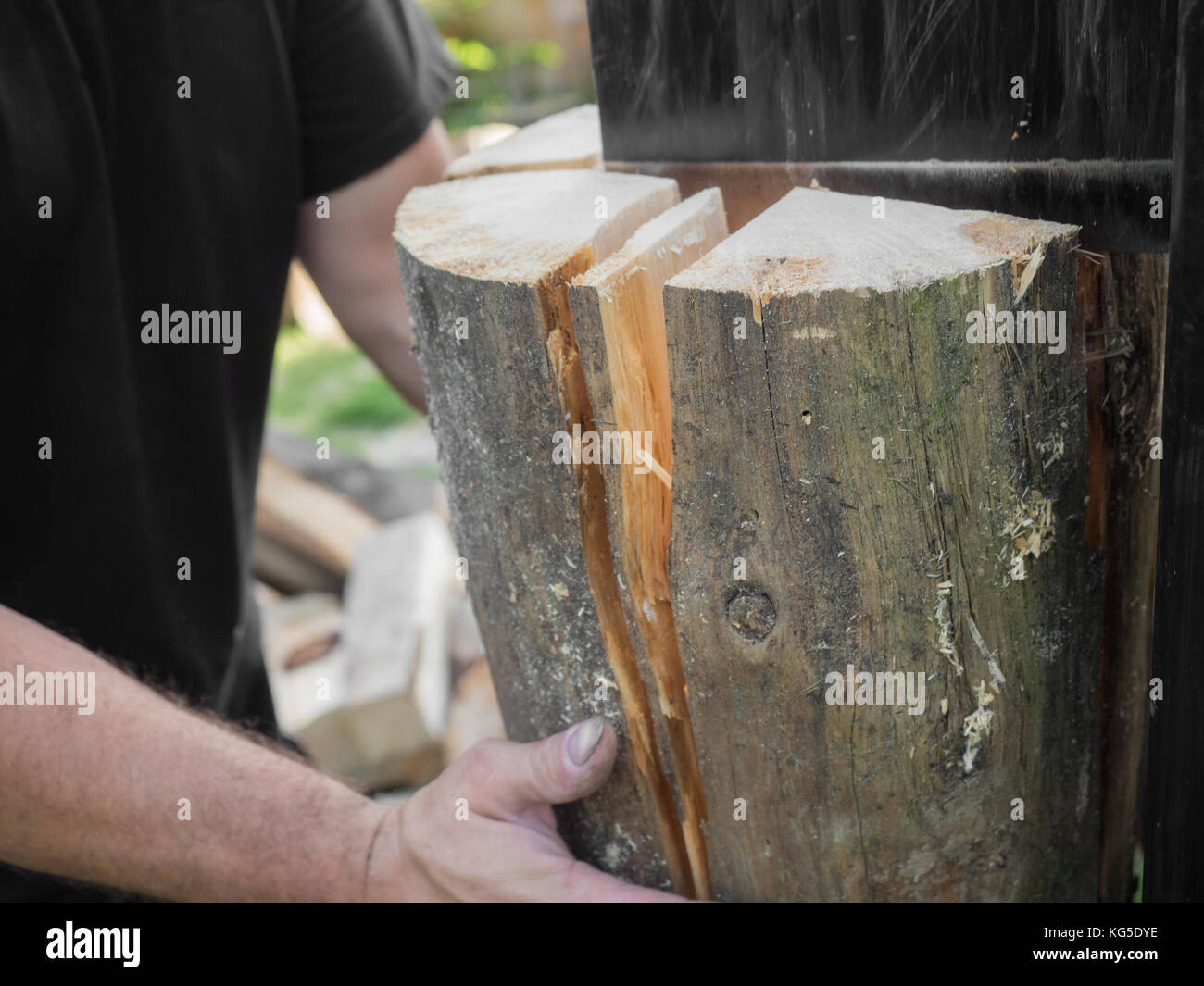 Wood bark instrument hi-res stock photography and images - Alamy