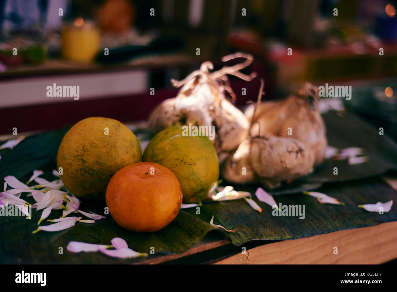 Day of the Dead in the Yucatan Peninsula. Hanal Pixan, a mayan ...