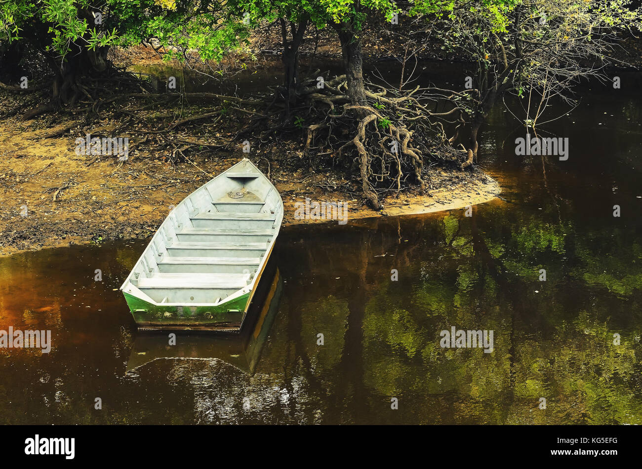 River with low water exposing the roots of a tree and a boat on the ...