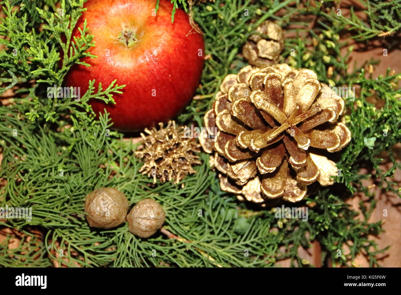 christmas background red apples and green pines Stock Photo - Alamy