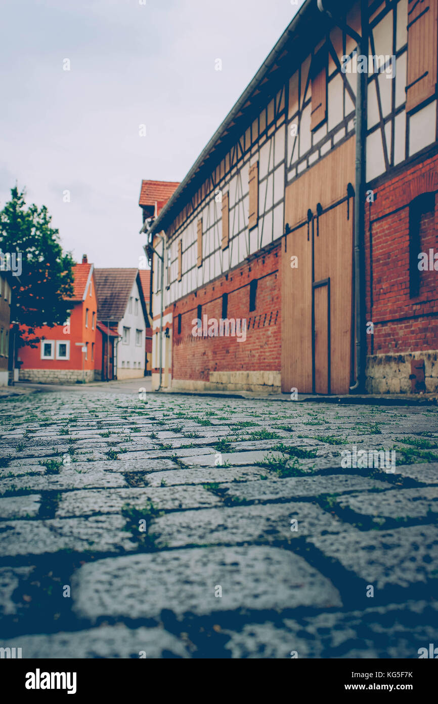 Half way tree hi-res stock photography and images - Alamy