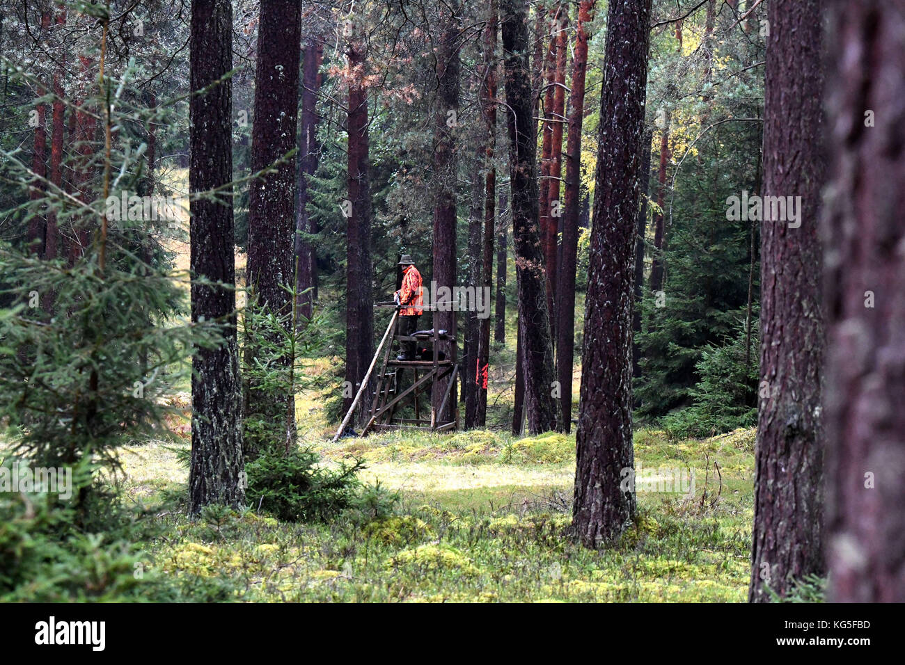 Hunting impressions hi-res stock photography and images - Alamy