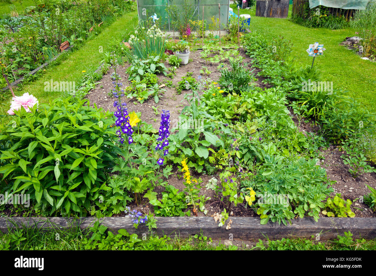 Vegetable garden with different patches Stock Photo - Alamy