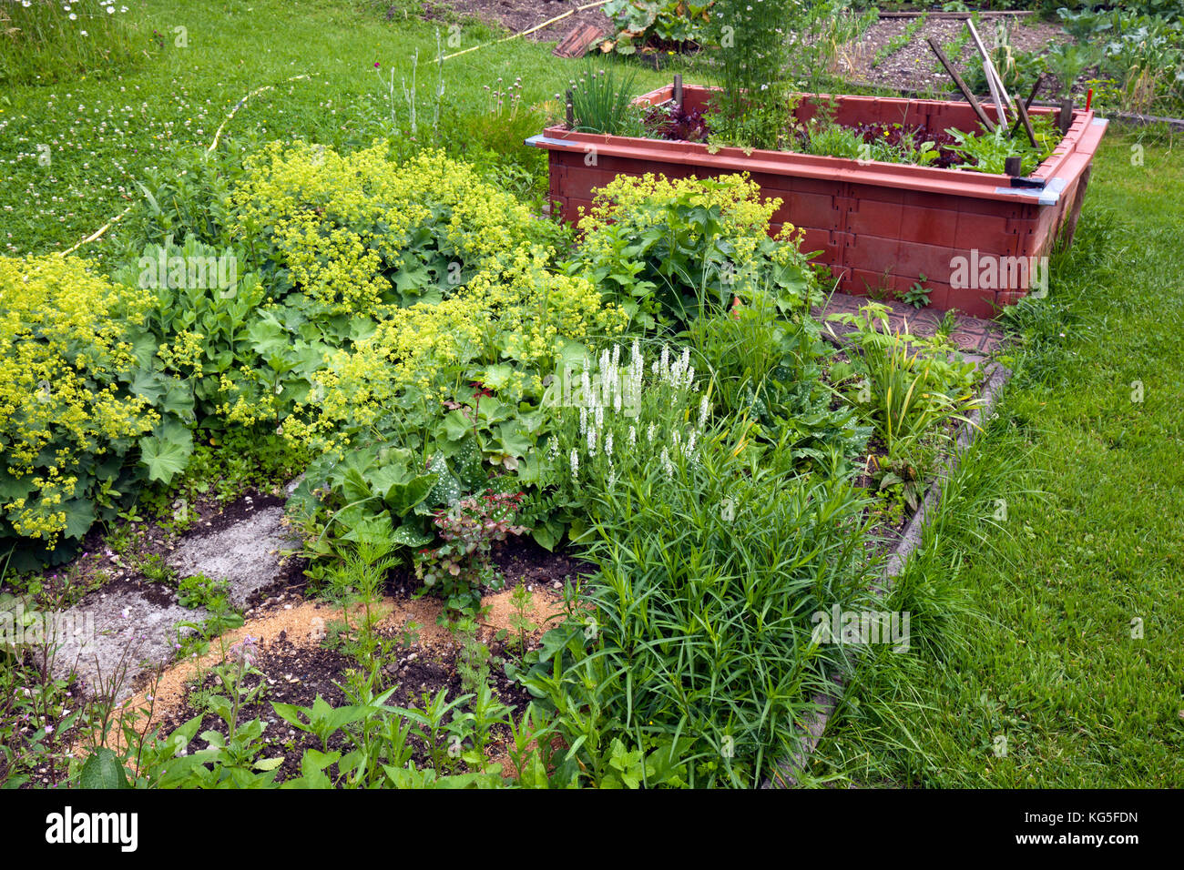 Vegetable garden with different patches Stock Photo - Alamy