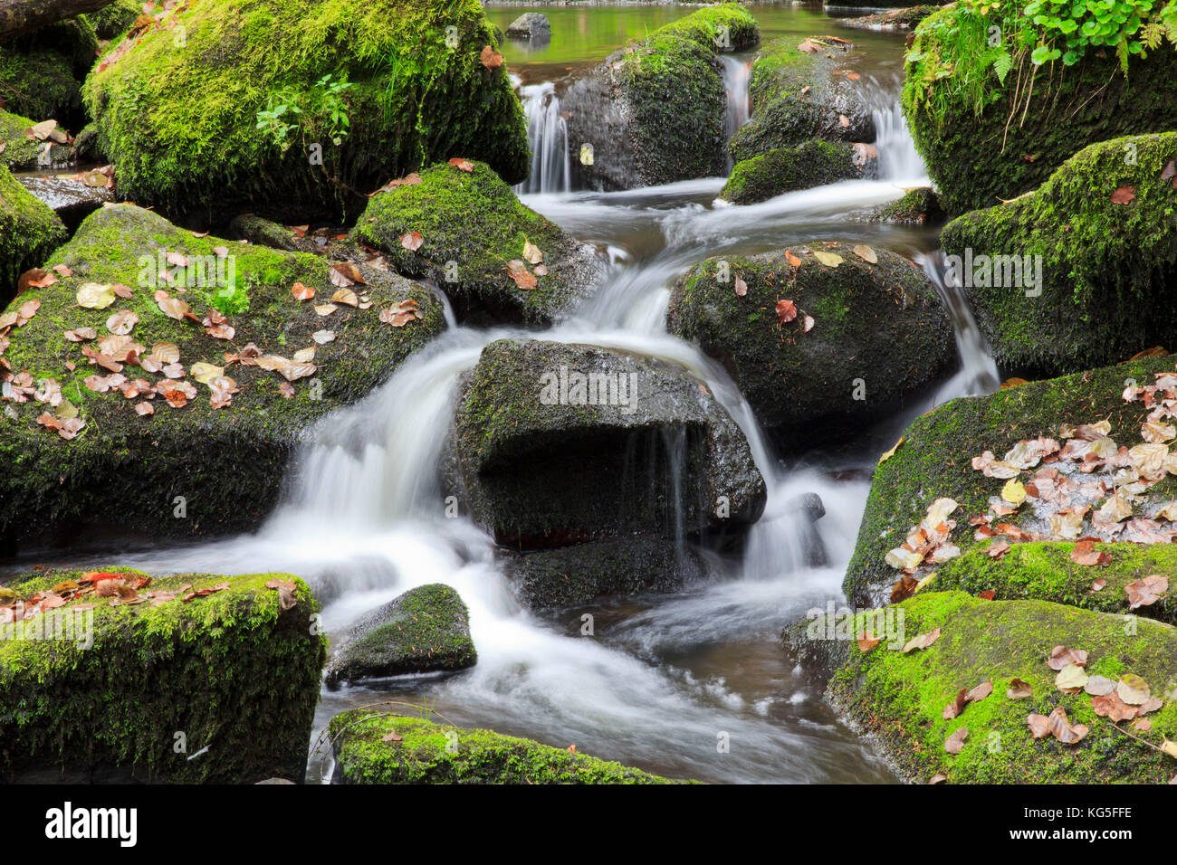 Idyllic stream course Stock Photo - Alamy