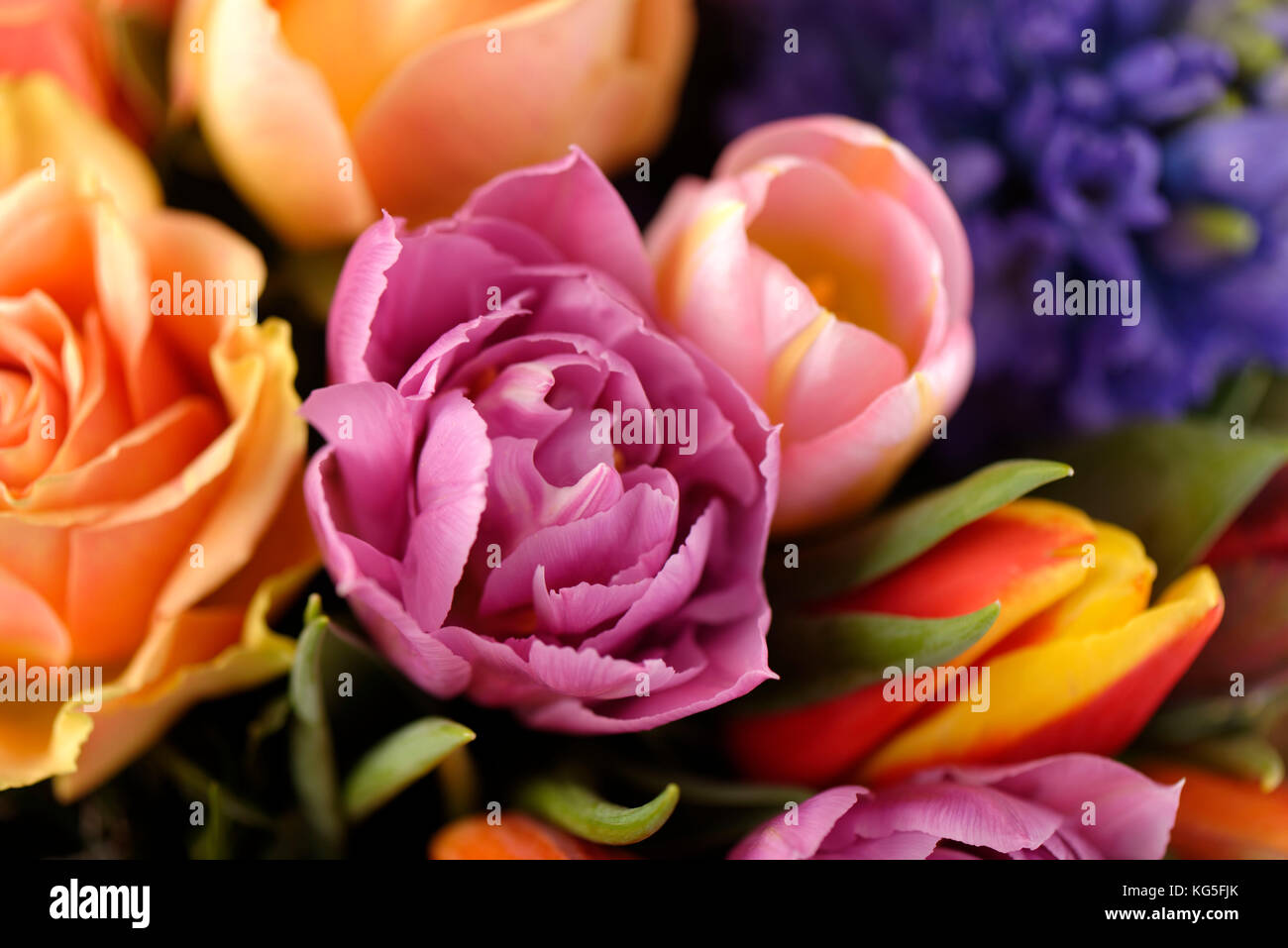 Coloured spring bouquet Stock Photo - Alamy